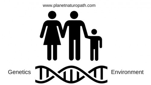 How Your Environment Influences Your Genes - Planet Naturopath
