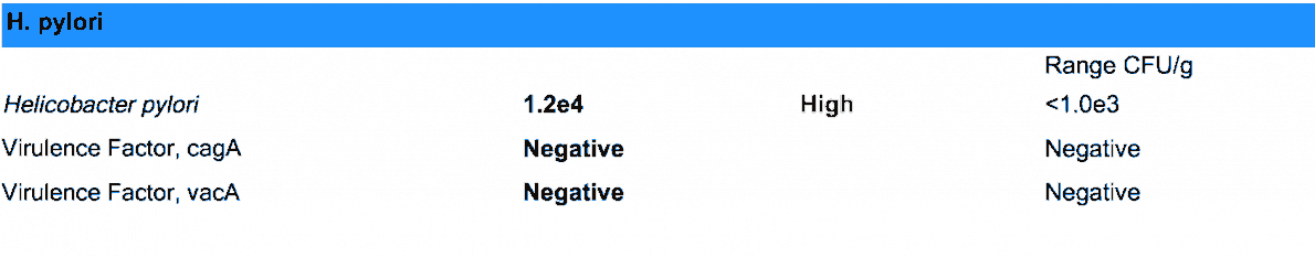 Helicobacter Pylori Natural Treatments - Planet Naturopath