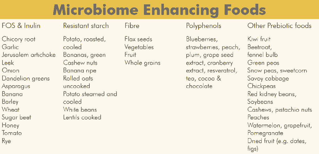 How To Choose The Best Probiotic Supplement - Planet Naturopath