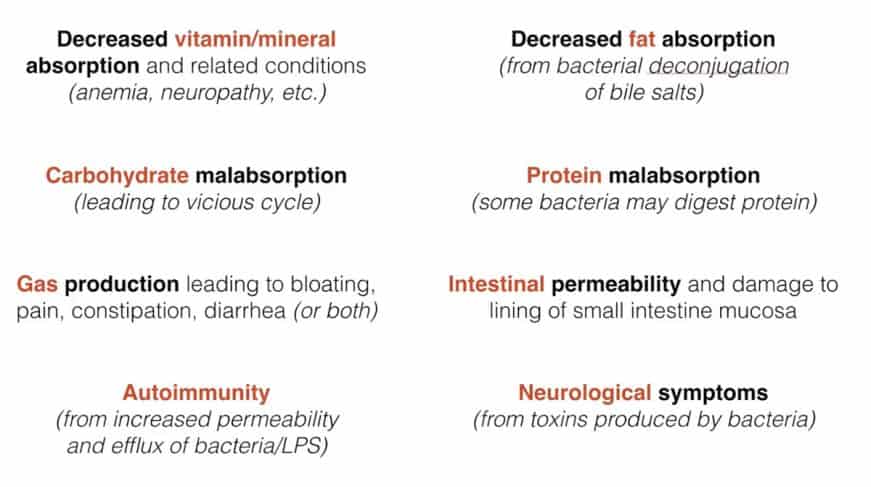 The 7 Causes Of Digestive Problems - Planet Naturopath