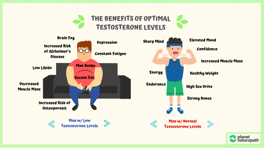 How Do You Know If You Have Low Testosterone? - Planet Naturopath