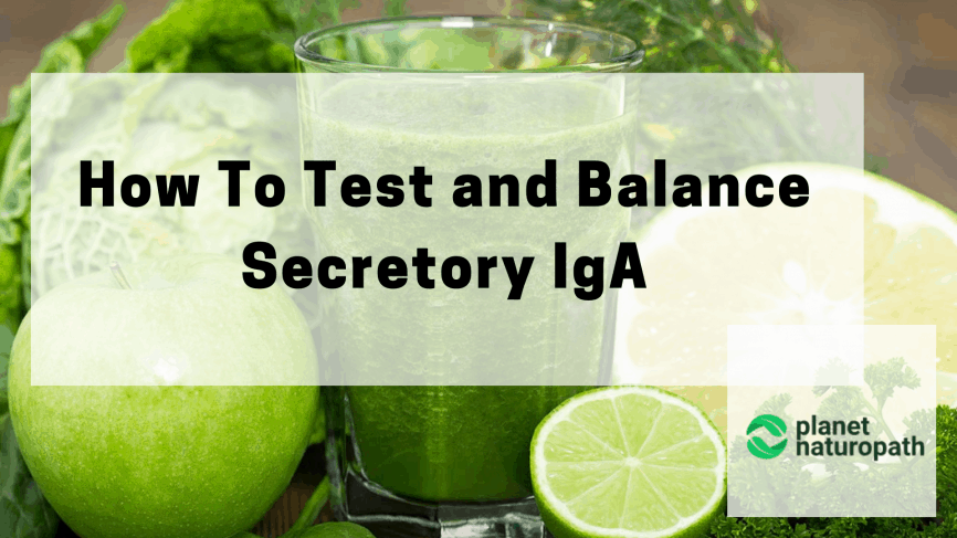 Tips On How To Test And Balance Secretory IgA Levels - Planet Naturopath
