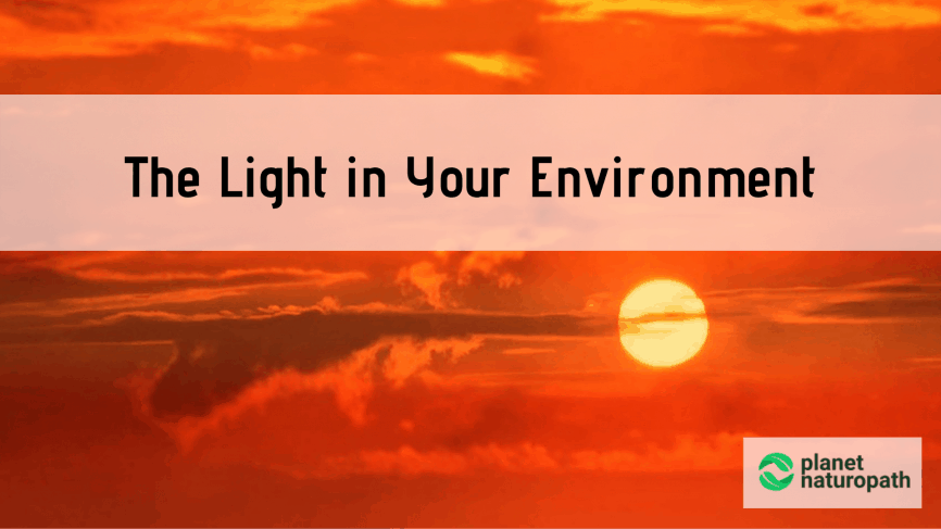 A Healthy Environment Is Crucial For Amazing Health - Planet Naturopath