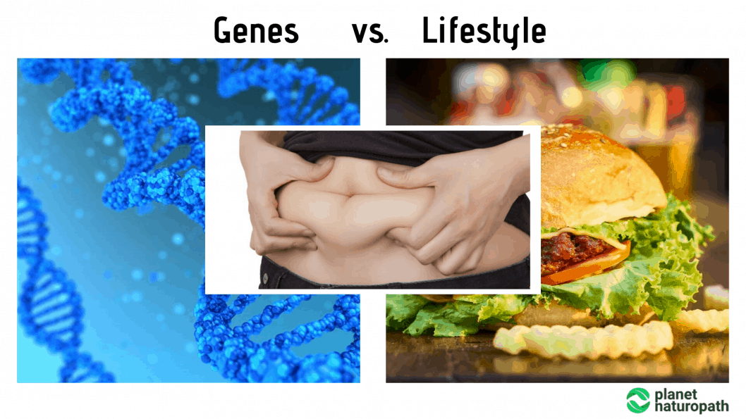 Obesity And Genetics (how To Influence Your Genes) - Planet Naturopath
