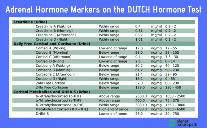 DUTCH Hormone Test Review - Planet Naturopath