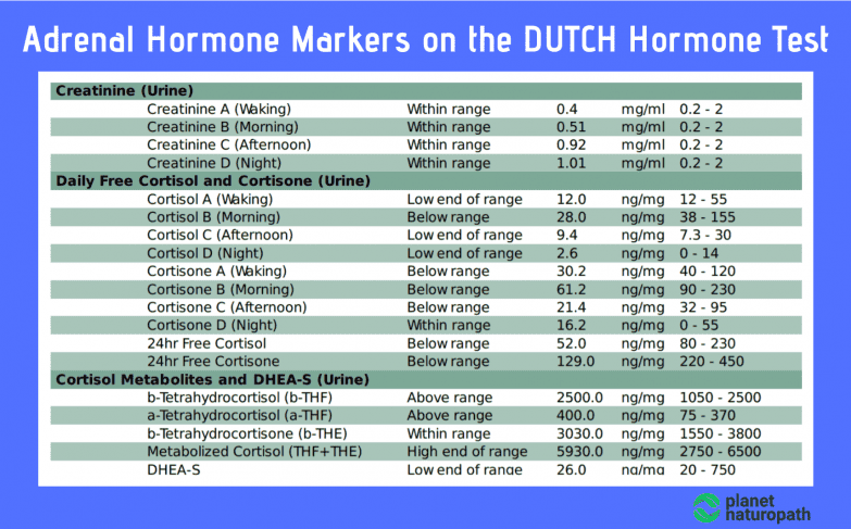 DUTCH Hormone Test Review - Planet Naturopath