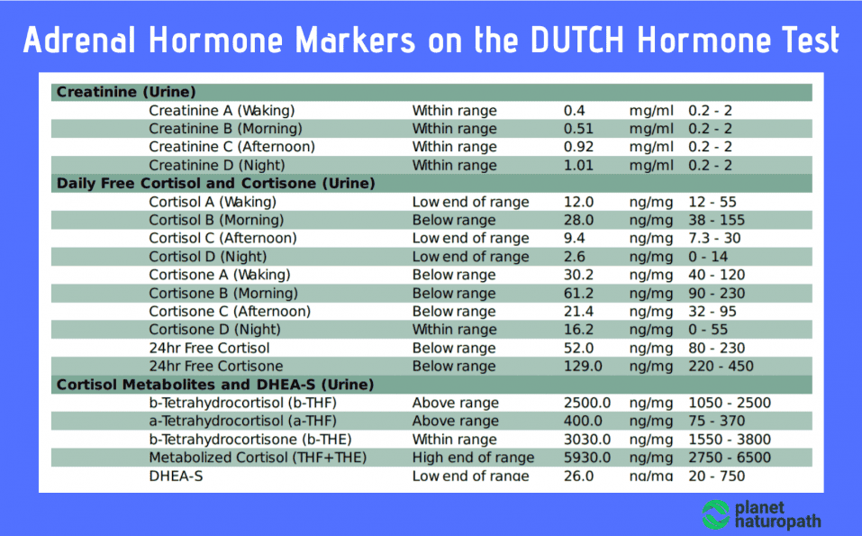 DUTCH Hormone Test Review - Planet Naturopath