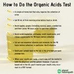 Organic Acid Tests: What It Measures And Why It’s Used? | Planet Naturopath