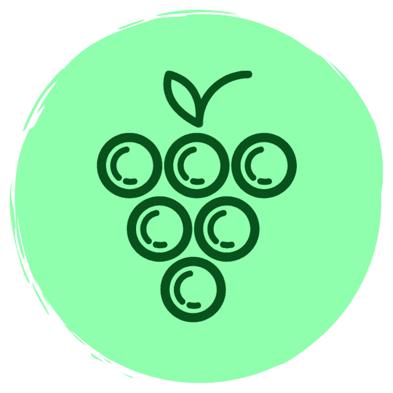 IgG Food Allergy Test + Candida - Planet Naturopath