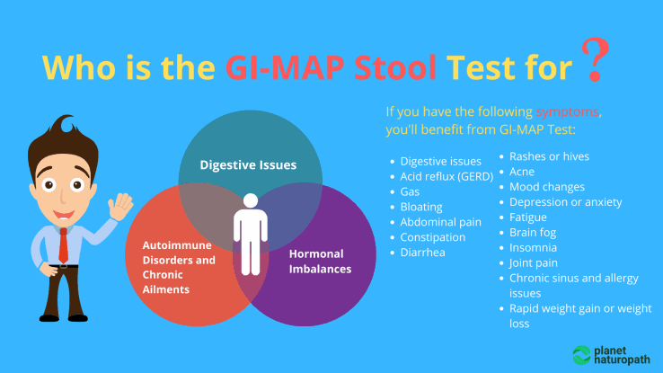 Complete Guide To The GI Map Test - Planet Naturopath