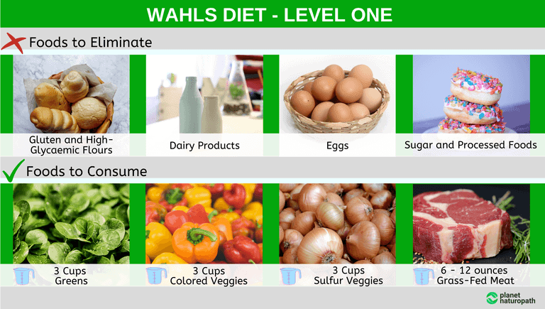 Wahls Protocol For MS And Autoimmune Diseases - Planet Naturopath