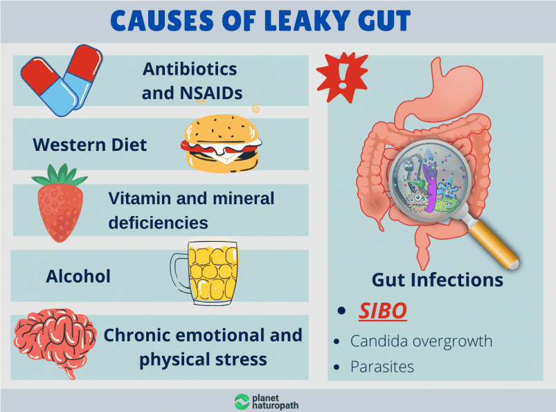 How To Restore Gut Health After Antibiotics