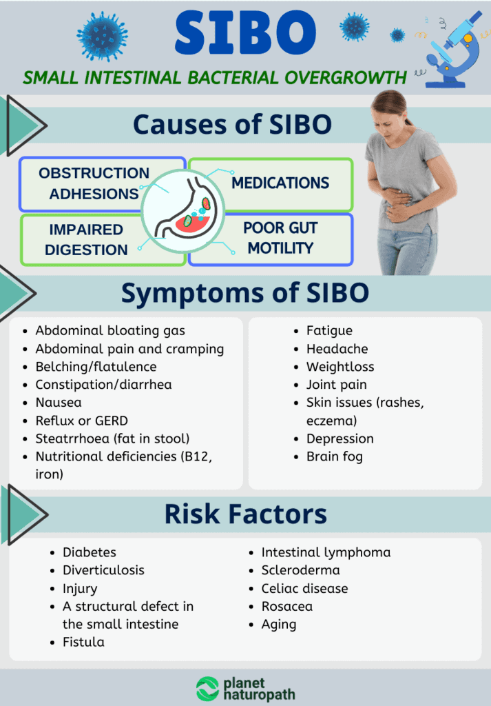 SIBO Guide (to Help You Eliminate IBS) - Planet Naturopath
