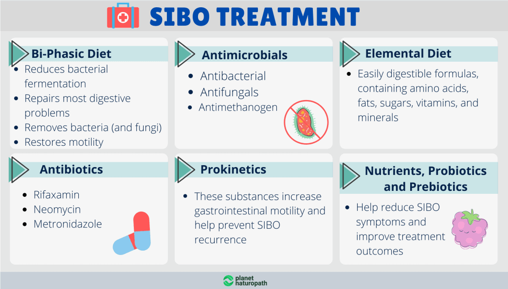 SIBO Guide (to Help You Eliminate IBS) - Planet Naturopath