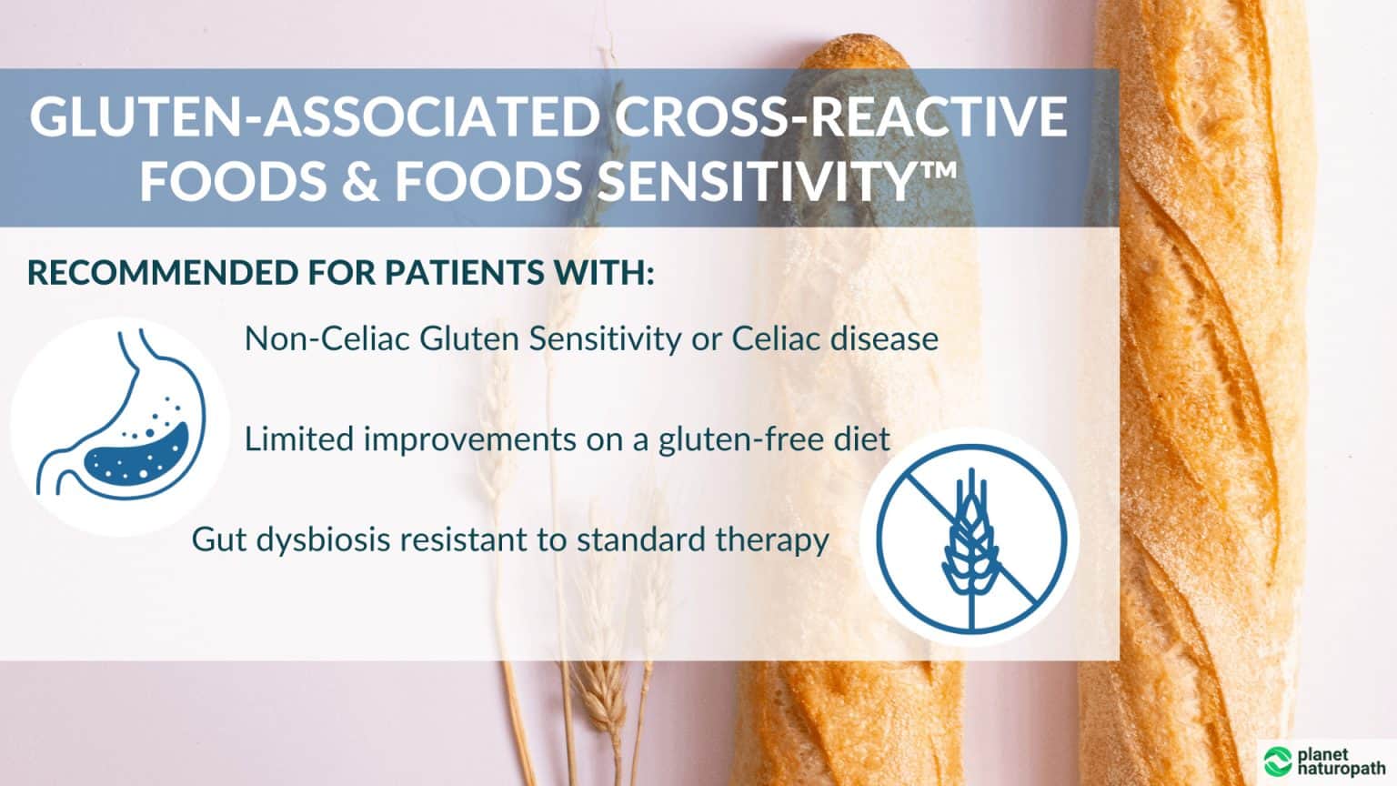 Cyrex Tests: 9 Of The Most Popular Options - Planet Naturopath