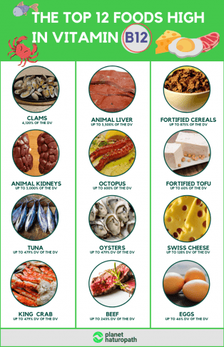 Vitamin B12 Guide: How To Treat Vitamin B12 Deficiency - Planet Naturopath