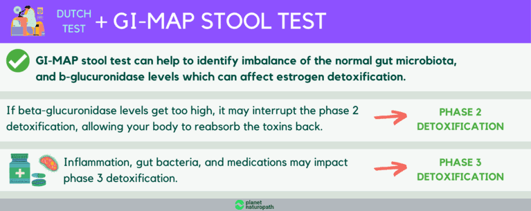 5 Surprising Benefits Of The DUTCH Hormone Test - Planet Naturopath