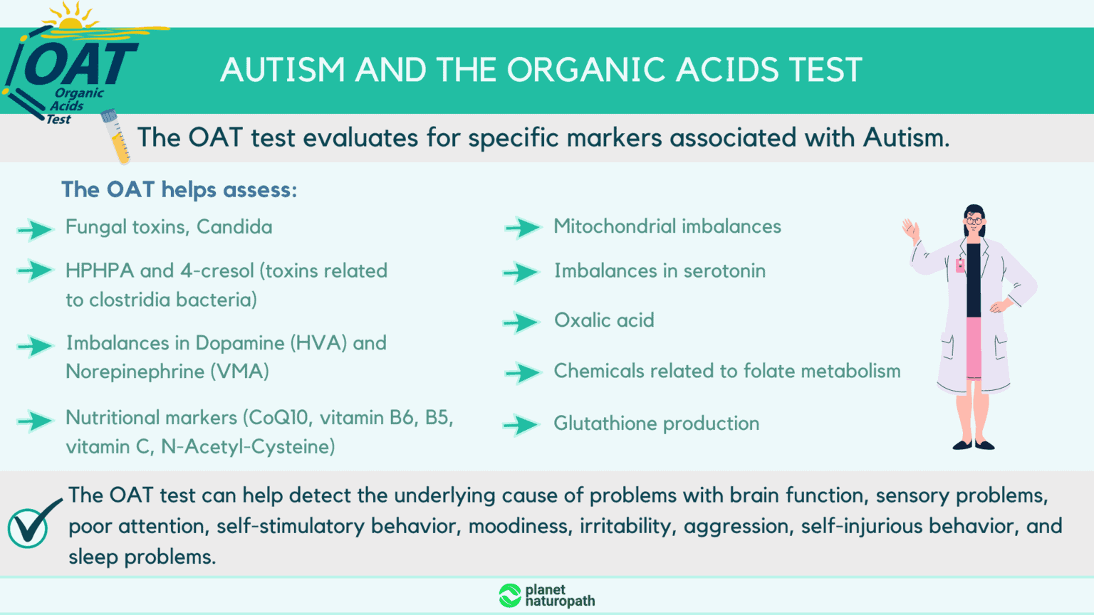 Organic Acids Test For Kids (why Kids With Learning Difficulties Will ...
