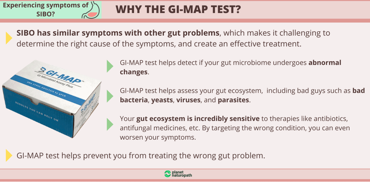 SIBO Testing: Is It Worth It?