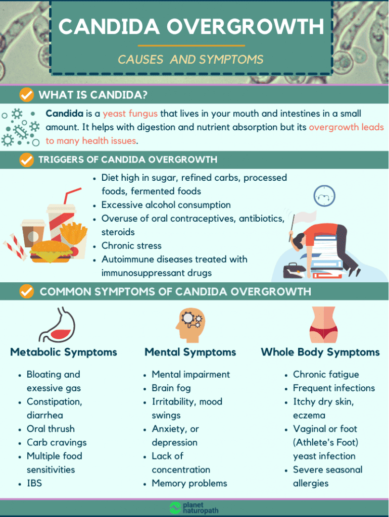 Vibrant Wellness Candida + IBS Profile Review