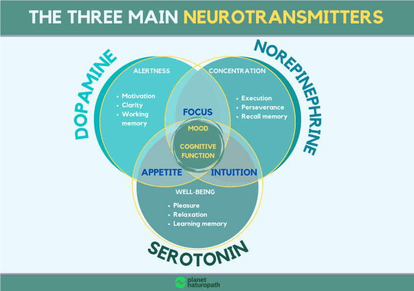 15 Reasons Everyone With A Neurological Disorder Should Do The OAT Test