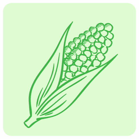 Cyrex Tests And Arrays