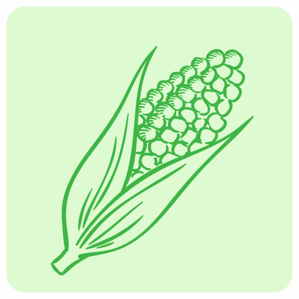 Cyrex Tests And Arrays