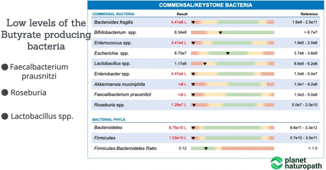 Butyrate Benefits: 10 Things You Need To Know