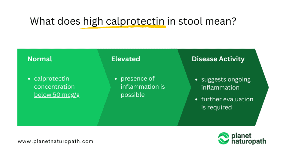 Calprotectin Fecal Test: Everything You Need To Know