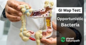GI Map Test Opportunistic Bacteria And Dysbiosis