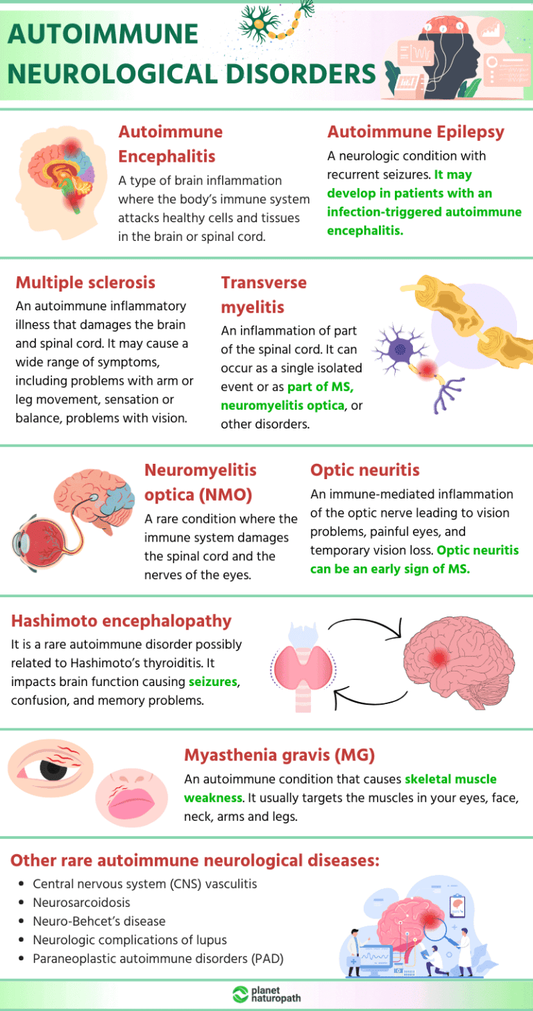 Vibrant Wellness Neural Zoomer Plus Review