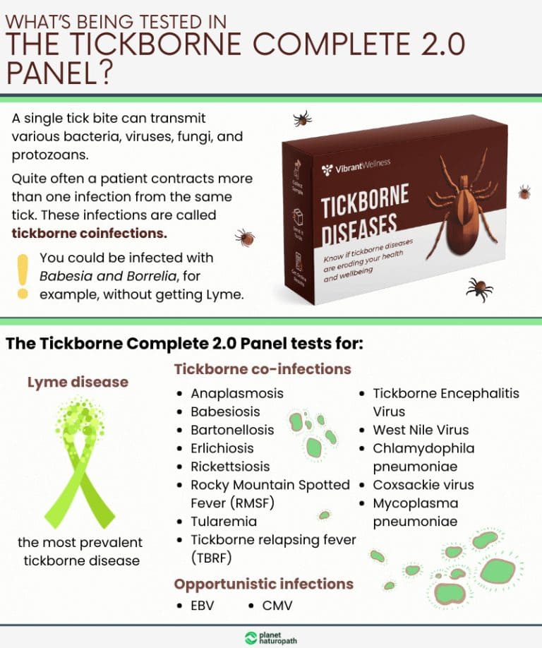 Vibrant Wellness Tickborne 2.0 Panel