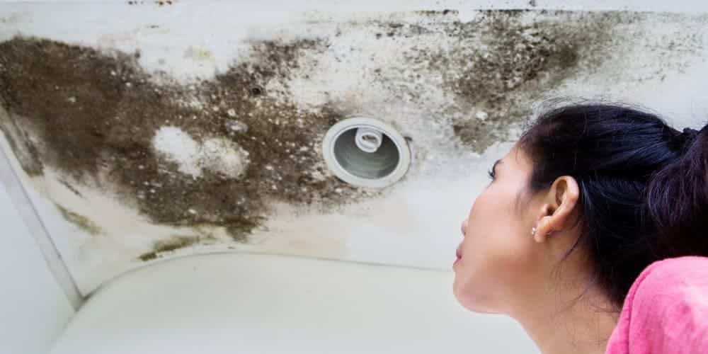 How To Test Your Home For Mold
