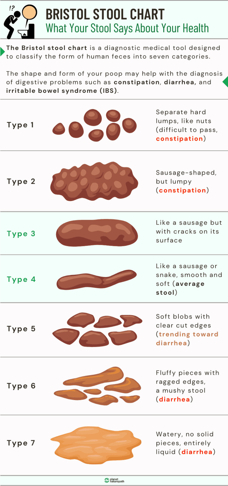 5 Signs Of A Healthy Gut: See If You Have Them! Planet Naturopath