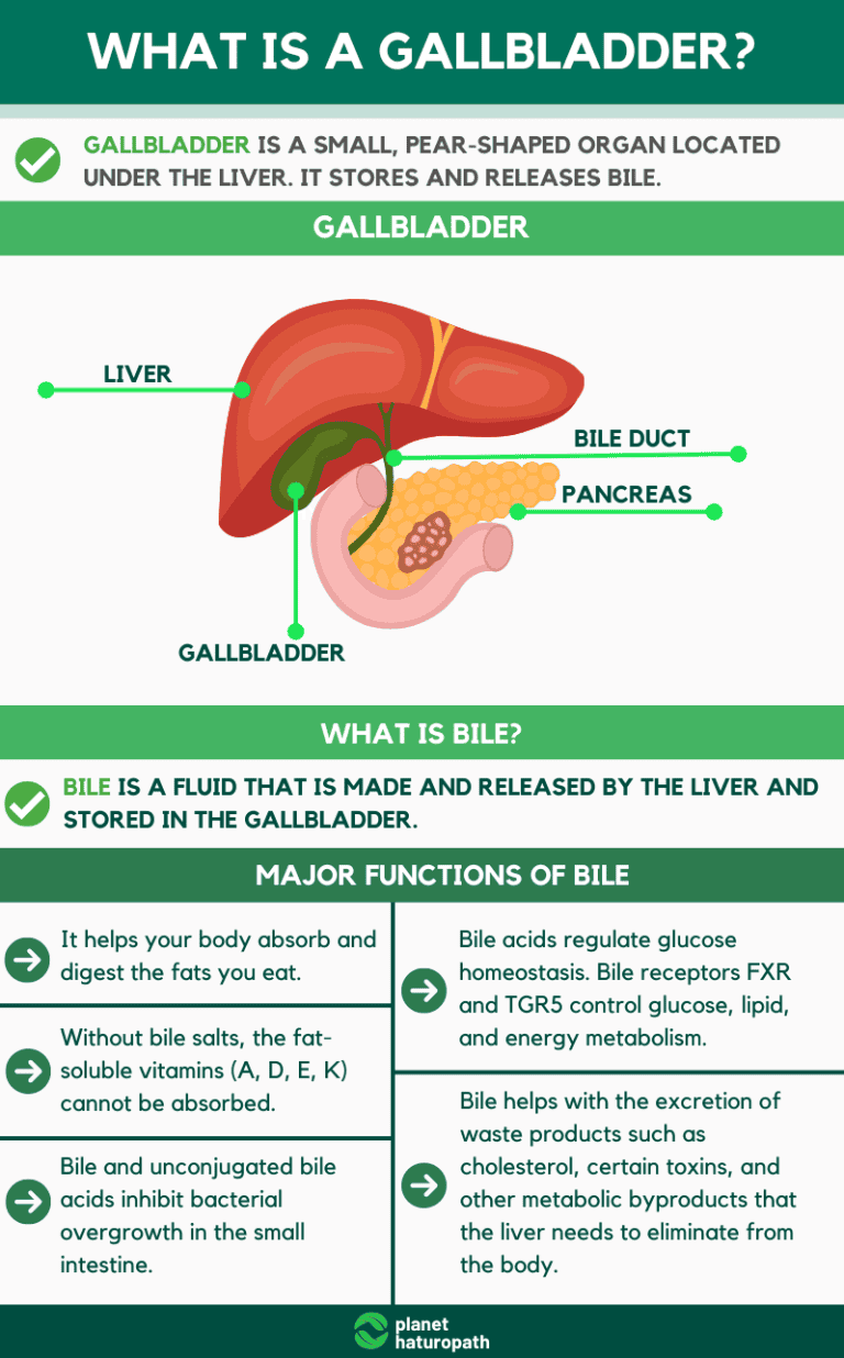 Gallbladder Guide: Natural Gallstone Treatments