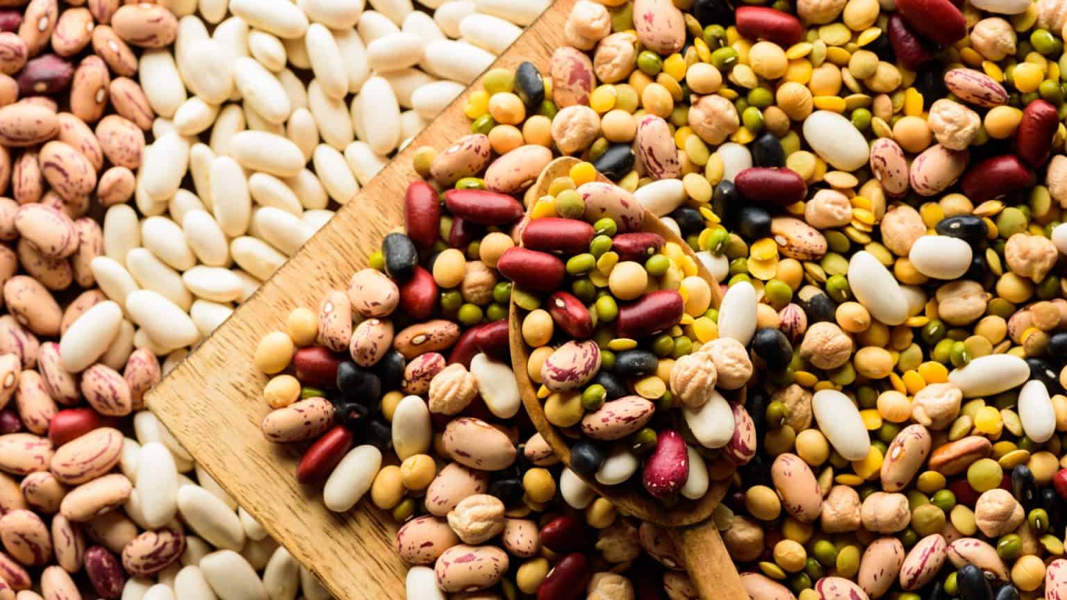 Calcium Without Any Dairy? Tips To Boost Your Levels - Planet Naturopath
