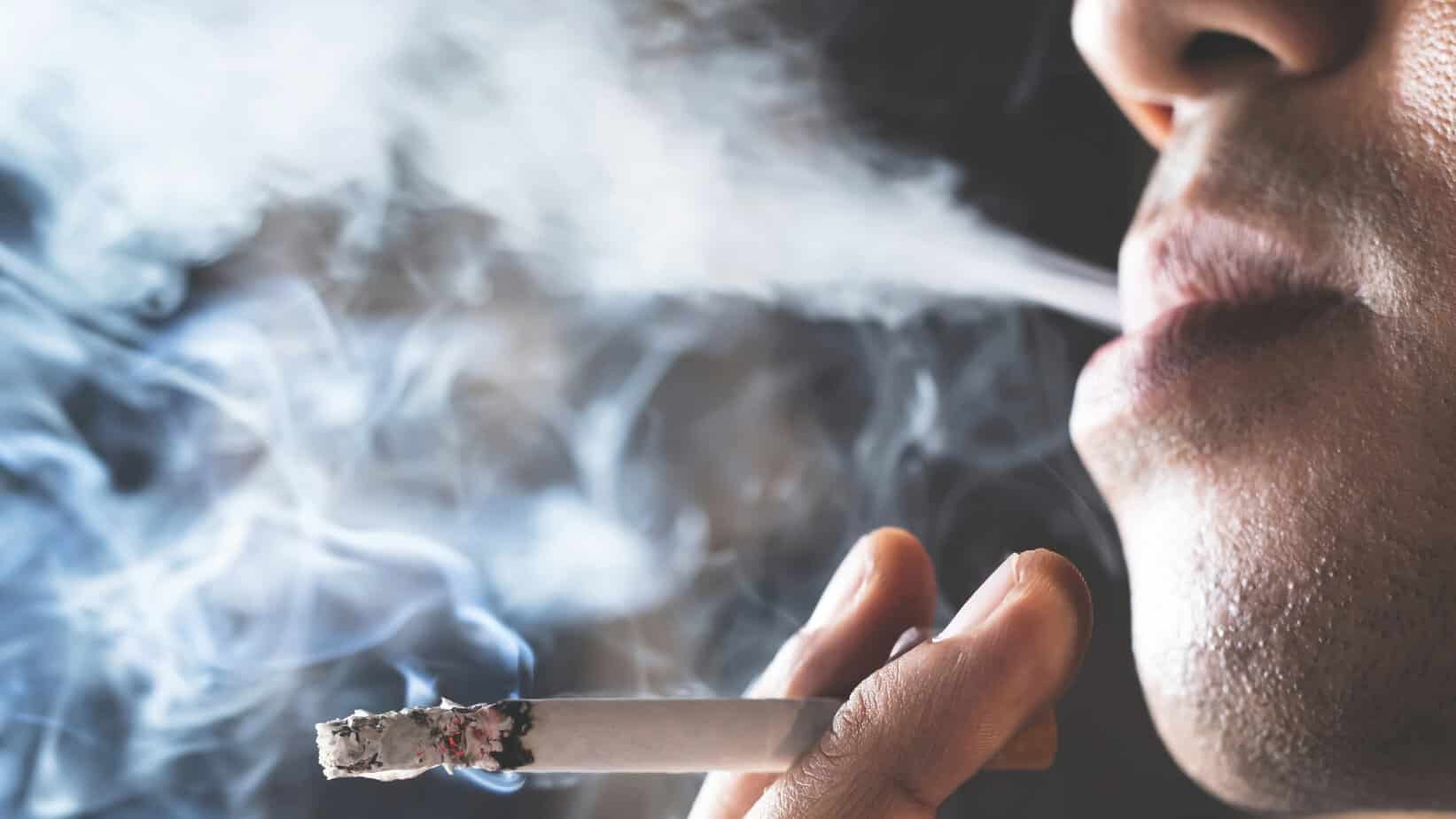 5 Signs Of A Healthy Gut: See If You Have Them! Planet Naturopath