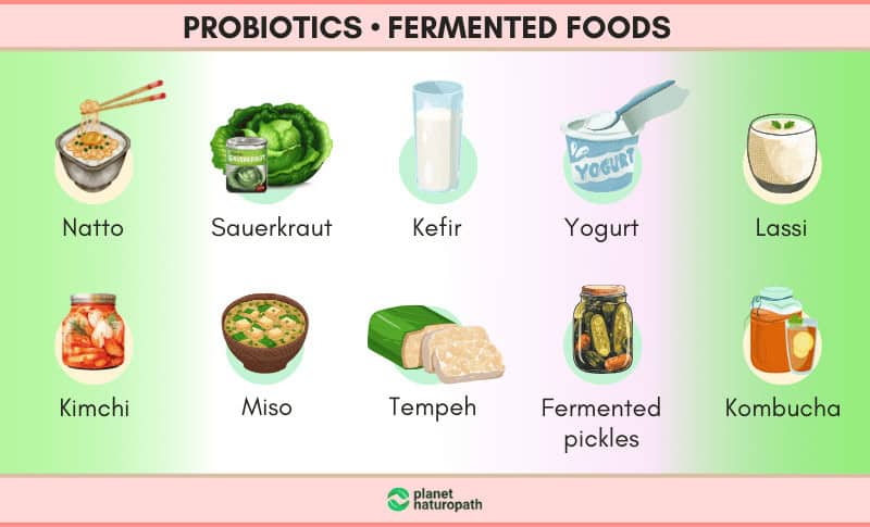 Probiotics Versus Prebiotics: Which Is Best For Your Health?