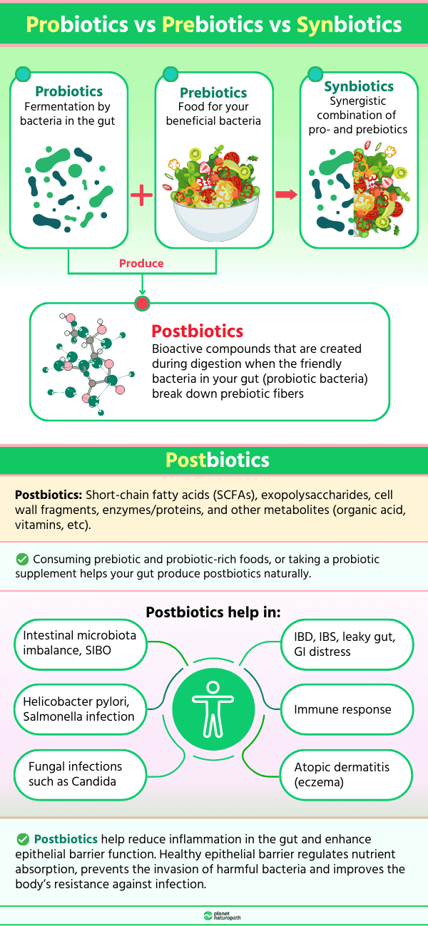 Probiotics Versus Prebiotics: Which Is Best For Your Health?