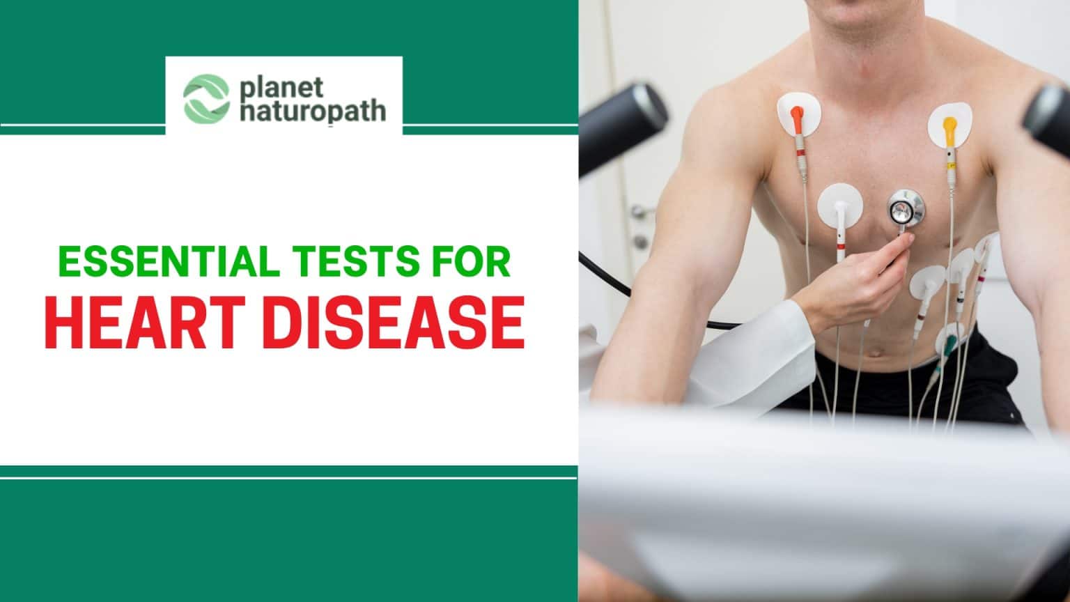 Organic Acid Tests: What It Measures And Why It’s Used? | Planet Naturopath