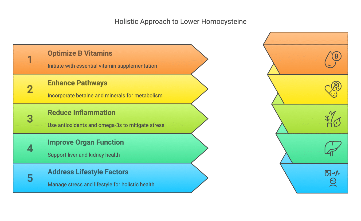 Lower Homocysteine Naturally: Simple Steps, Big Impact!